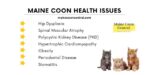 Maine Coons: Best And Worst Decision – Maine Coon Central